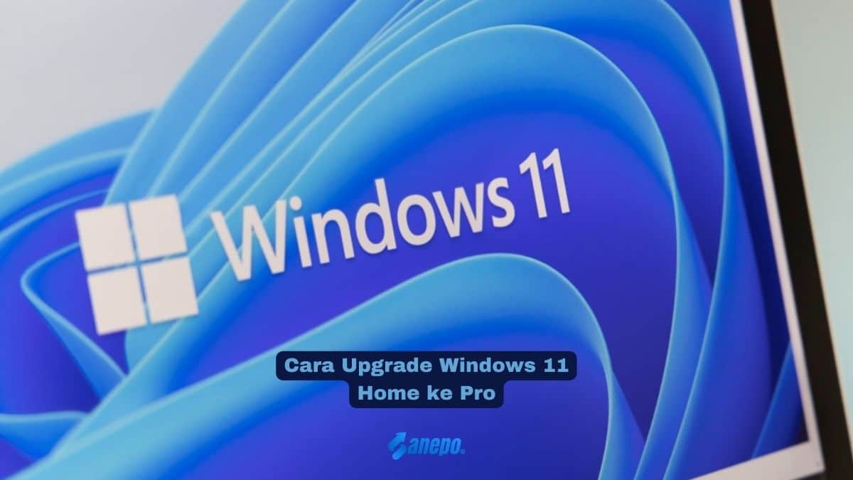 Cara Upgrade Windows 11 Home Ke Pro Mudah Dan Praktis Sanepo